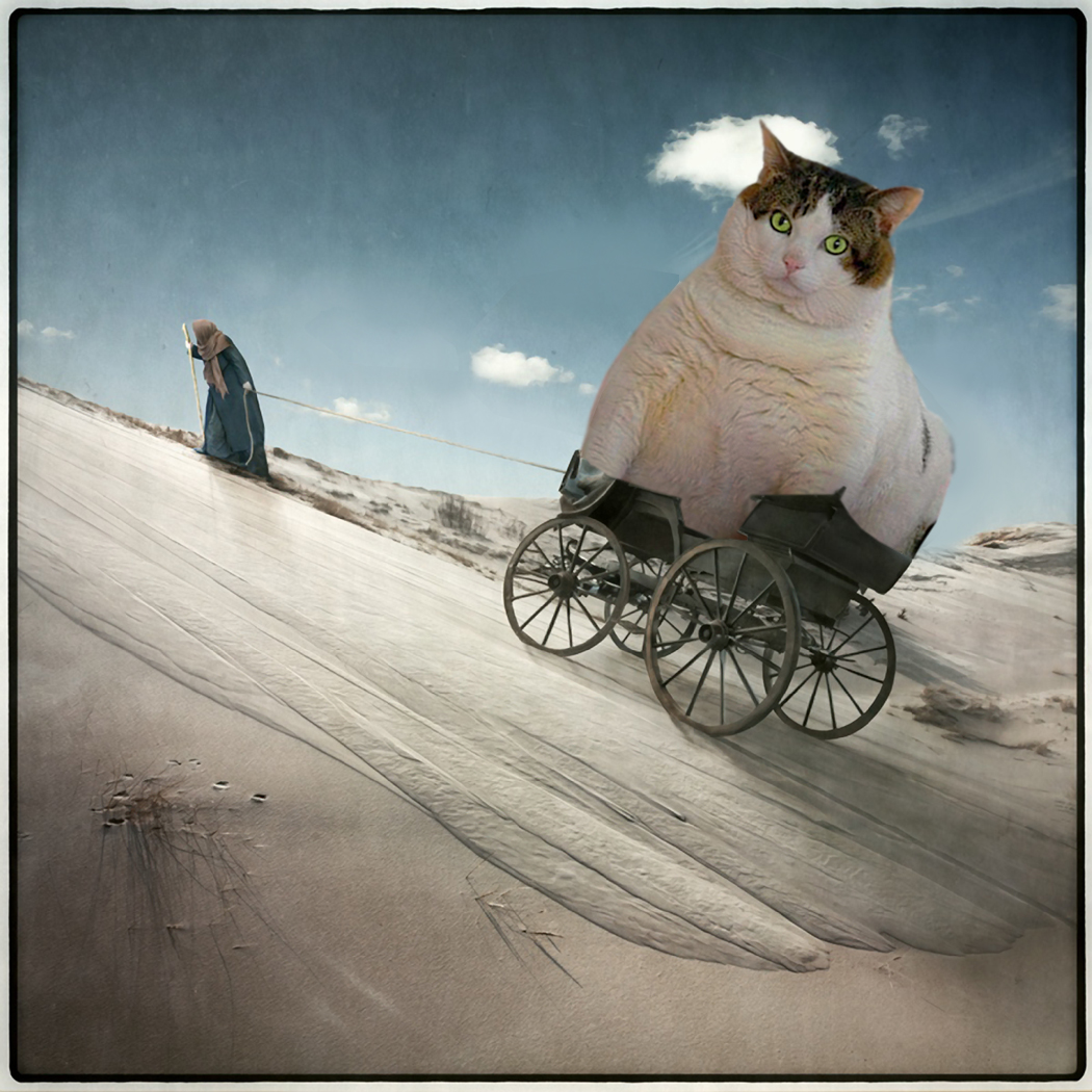 The Legend of Fat Cat