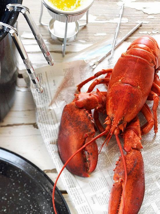 More Than Paper Blog: Lobster Love