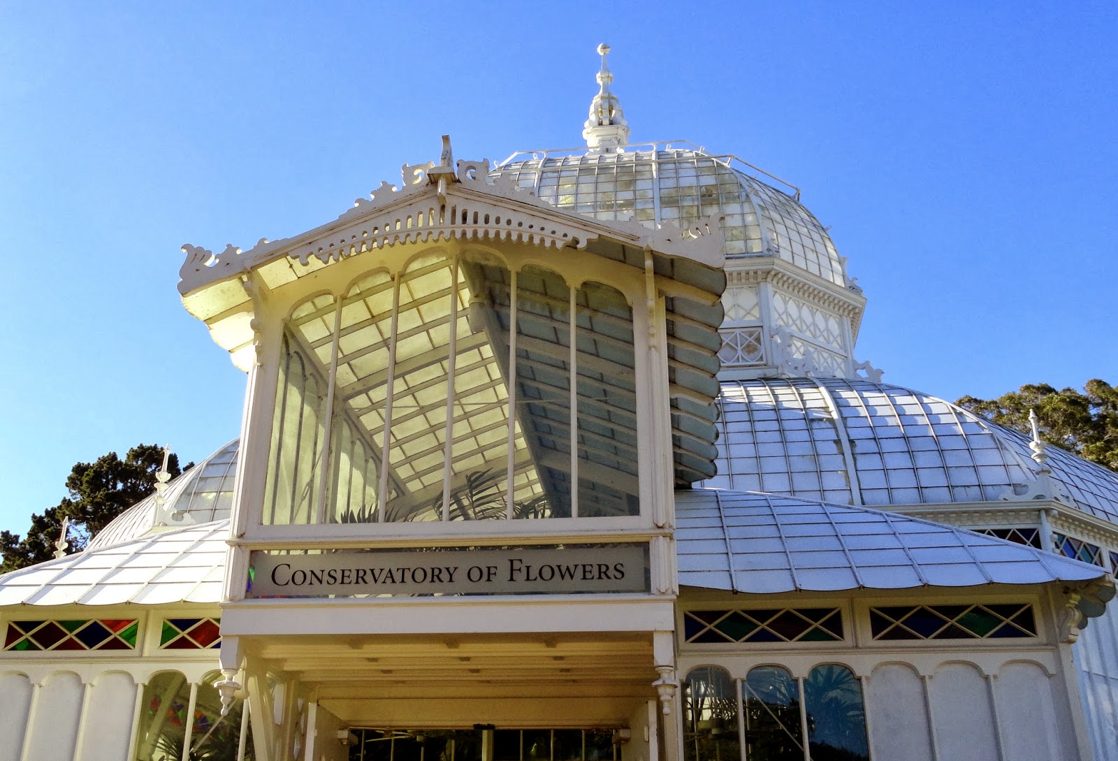 danger garden: Our evening at the San Francisco Conservatory of Flowers...