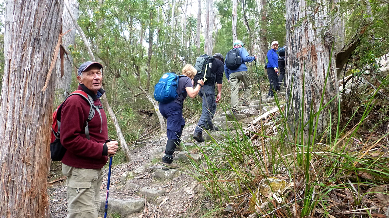 Ramblings: Nierinna Creek Tramway Hill Margate Rivulet 2015