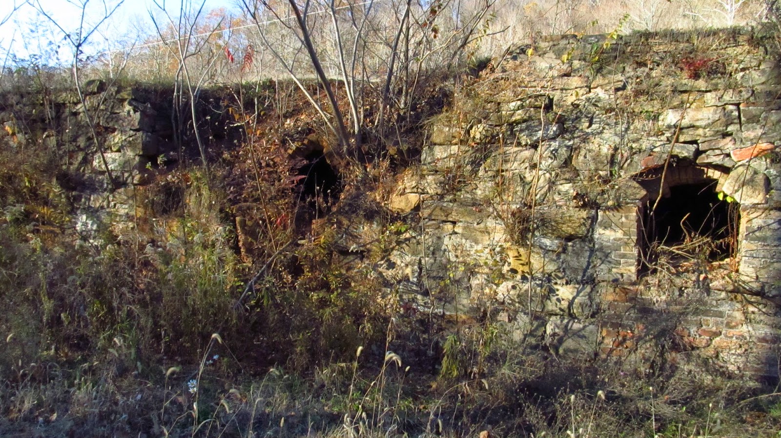 Old Industry of Southwestern Pennsylvania : Riddlesburg Coke Works