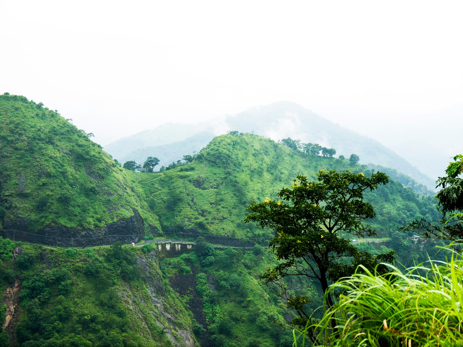 Places to visit in Kerala: Wagamon, Idukki