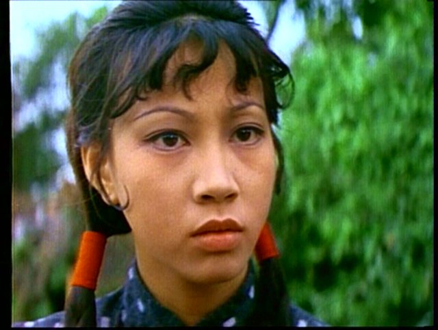 Shameless Pile of Stuff: Movie Review: Eagle Shadow Fist