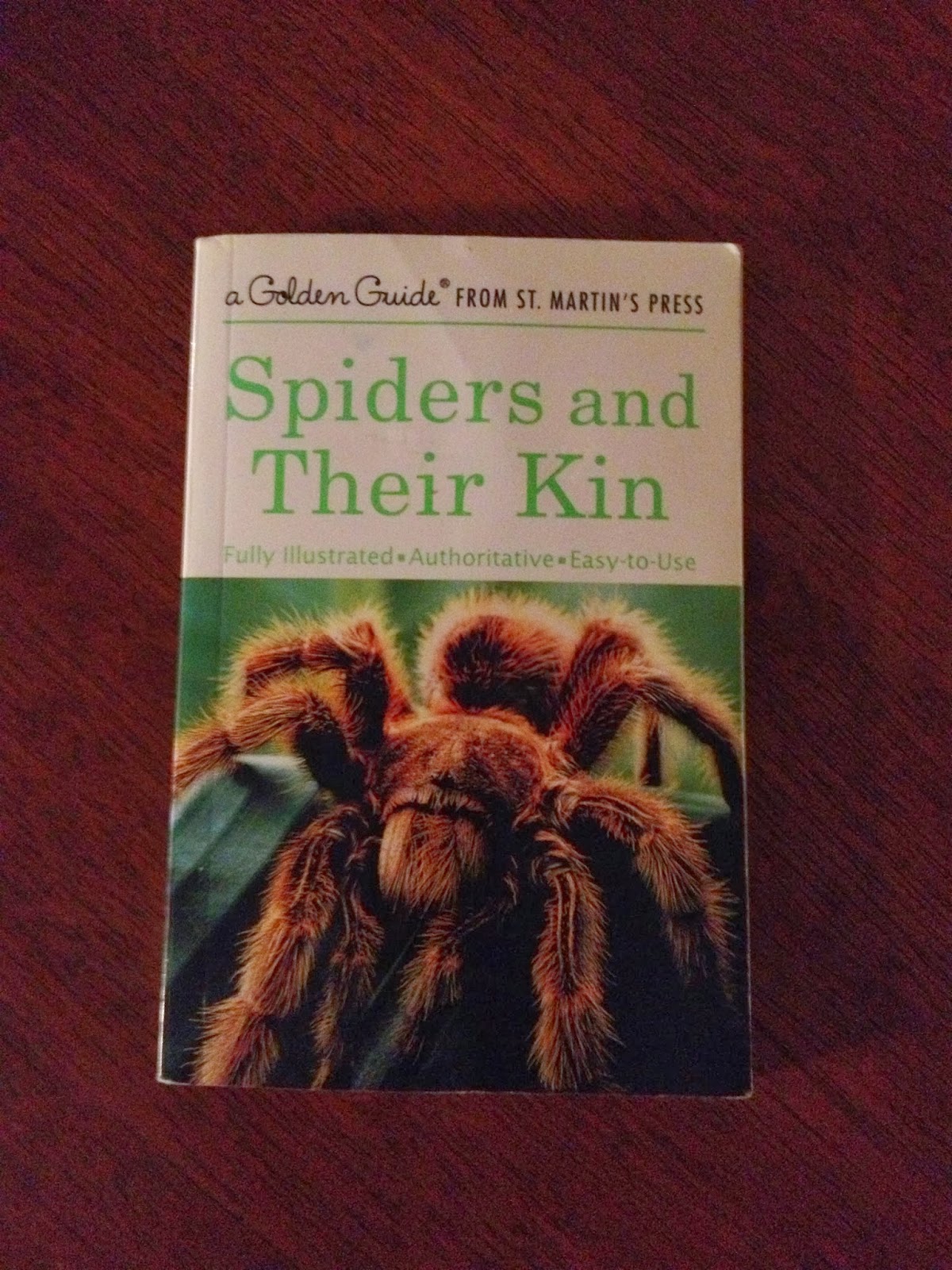 Lifestyle of Learning: Spiders and Tea