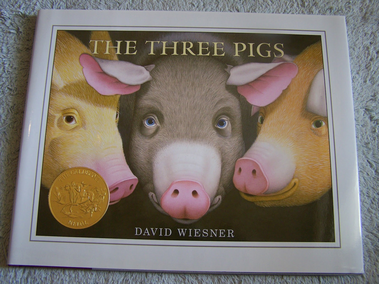 My Thirteen Favorite Picture Books