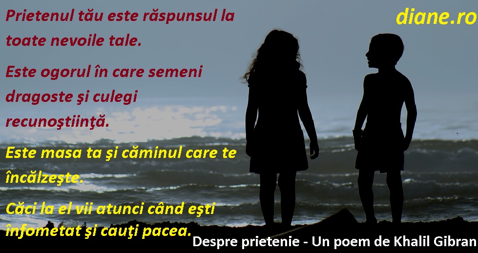 Despre prietenie - Un poem de Khalil Gibran - diane.ro