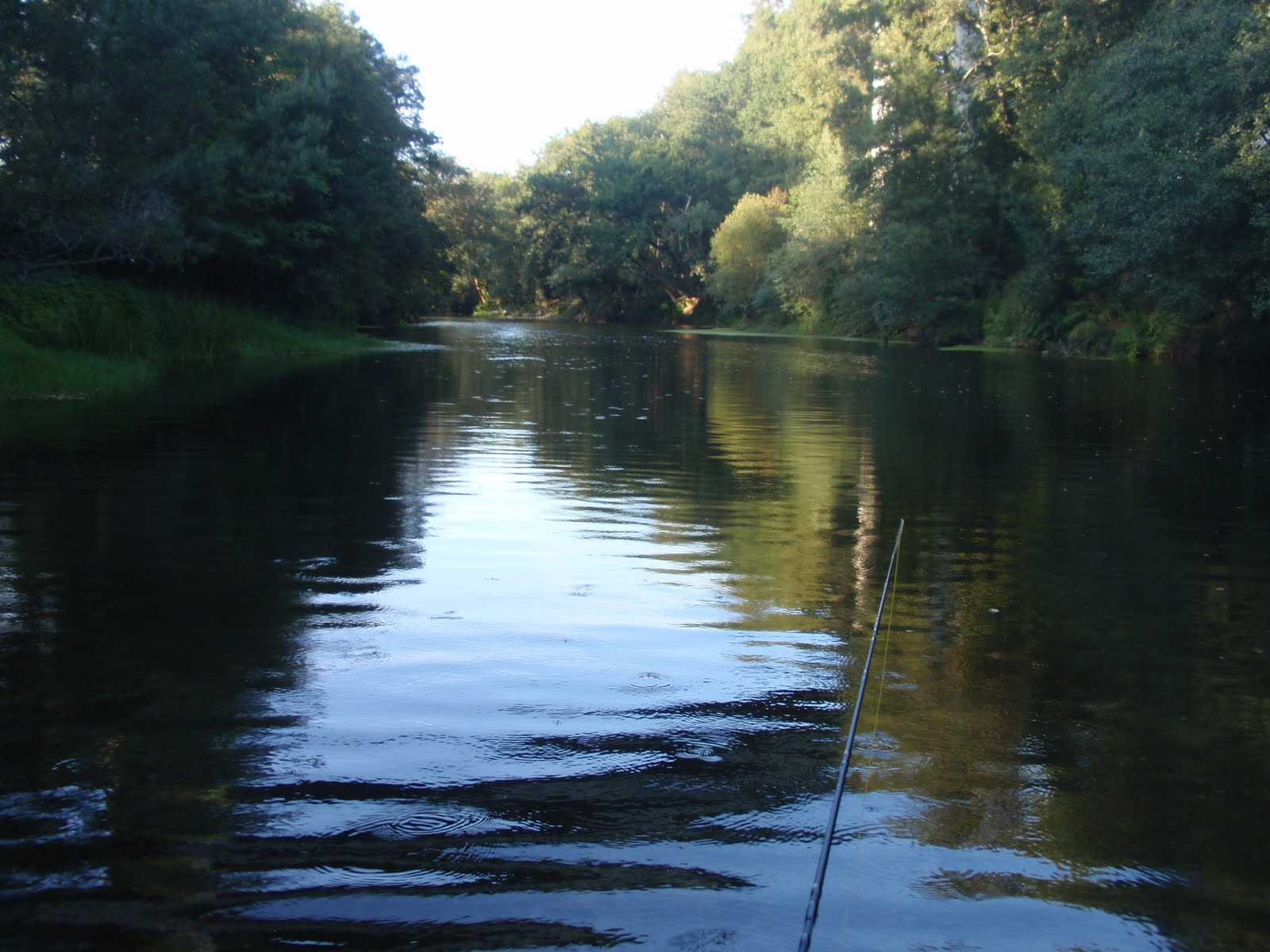 nosolomosca: Jornada de mar y río