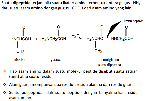 7th: Reaksi-Reaksi Spesifik pada Protein - CHEMISTRY DAILY
