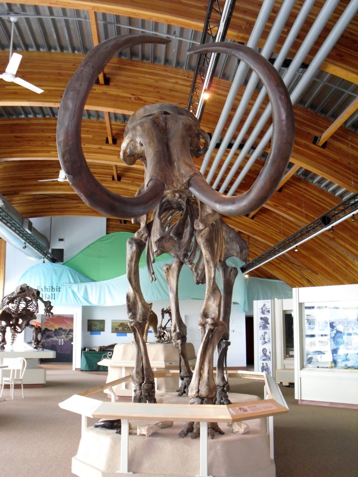 Un Lorrain au Yukon: Musée de la Beringie