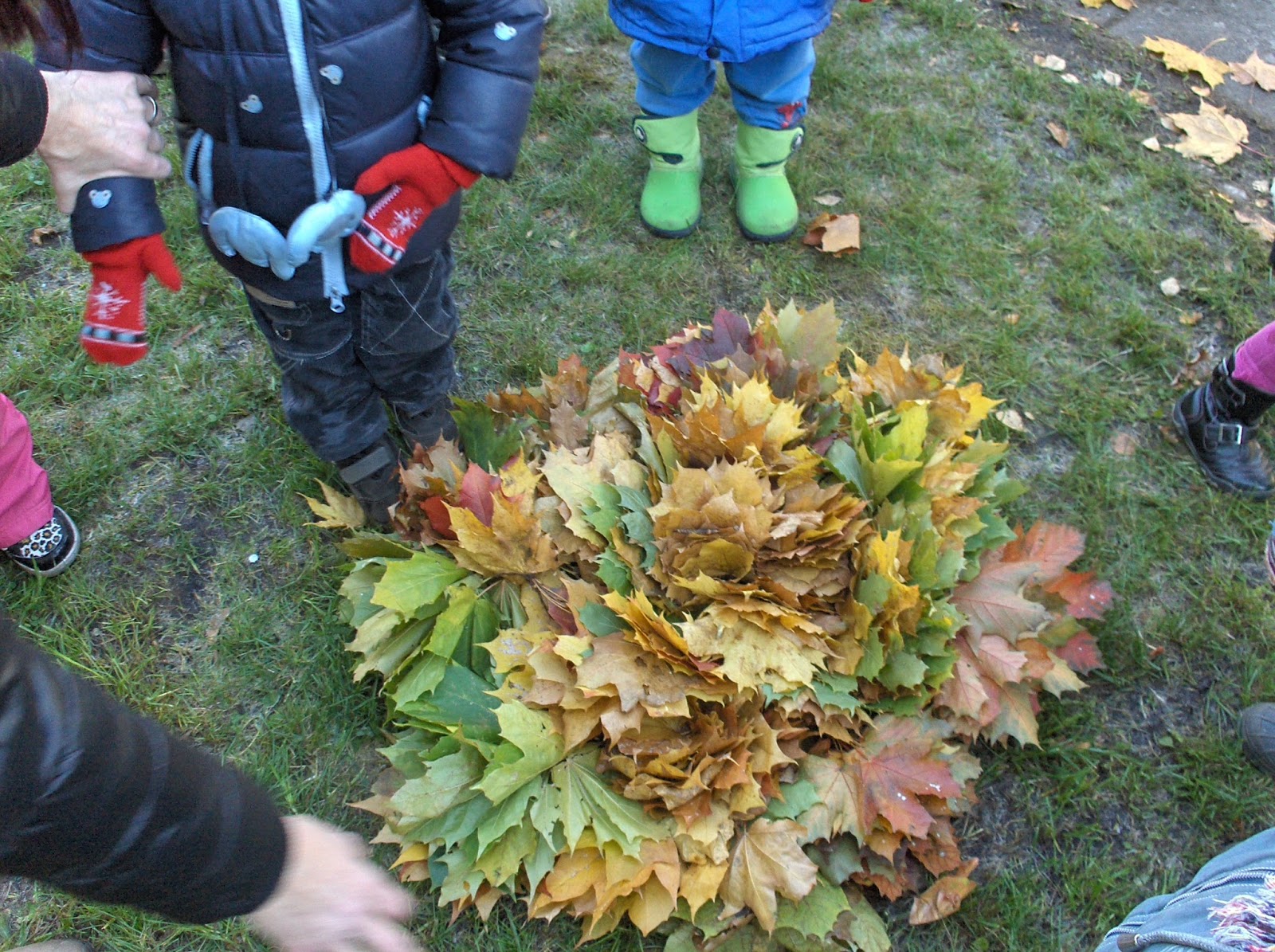 Dabas zinības mazajiem. Natural Sciences for kids: Rudens lapas stāsts