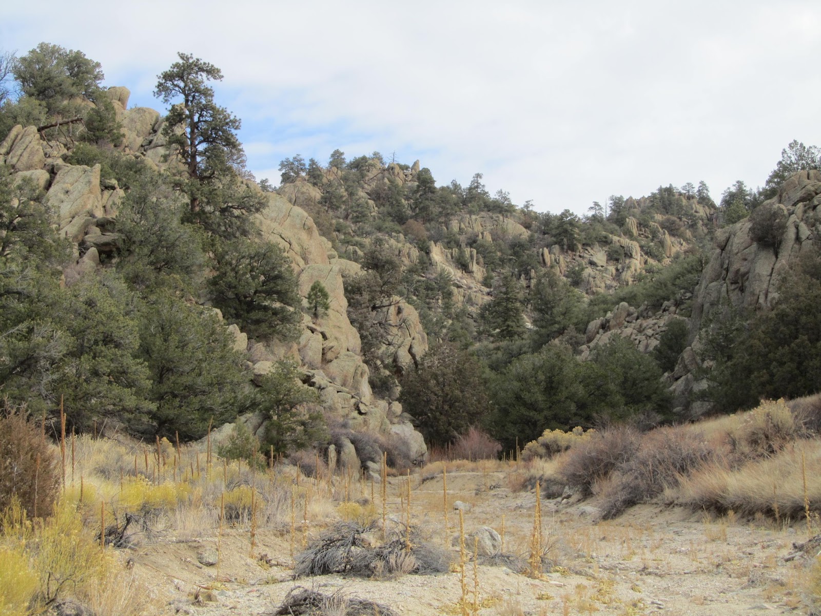 Tomcat's Outdoor Adventures: Hiking Browns Canyon National Monument