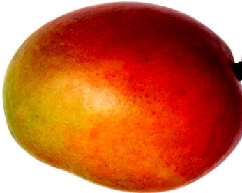 cook book by chef azeez