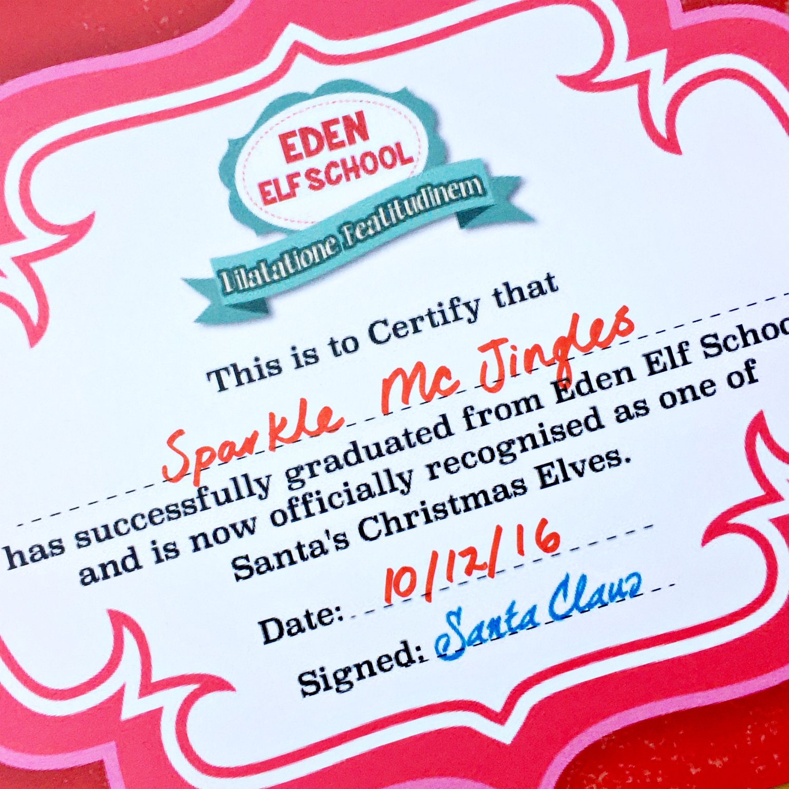 Eden's Elf School | Our Cherry Tree