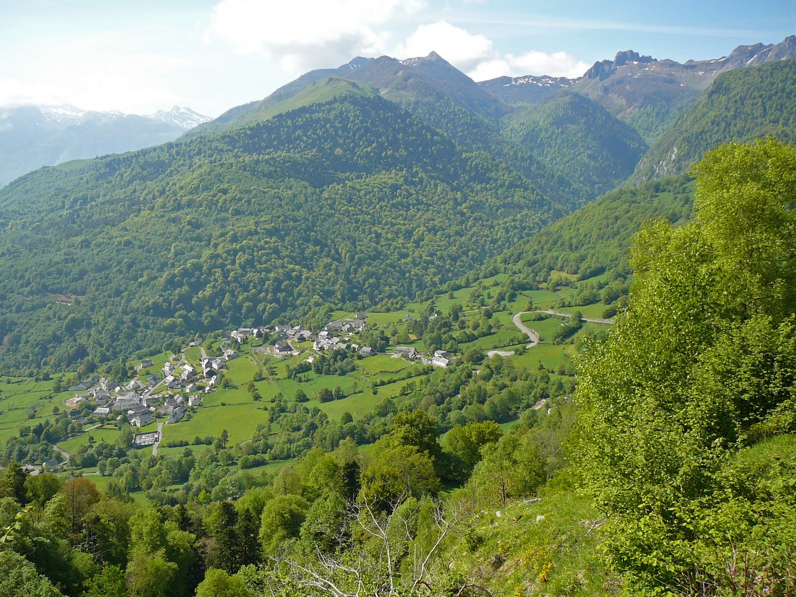 Le Cardet: Balade au Bénou