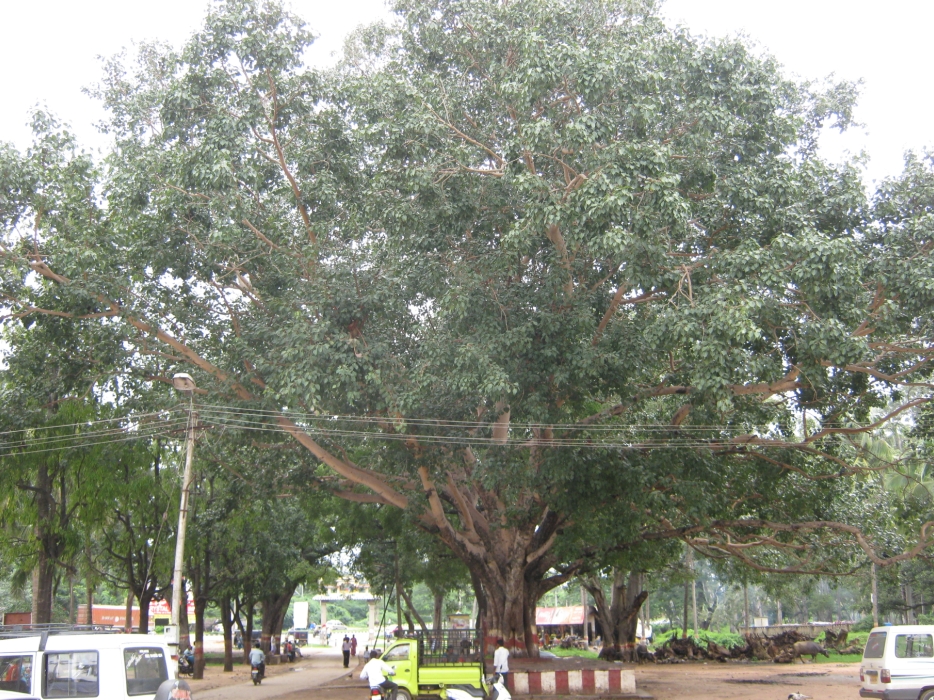 Kengal Anjaneya Swamy temple , near Ramanagara 50 kms from Bangalore