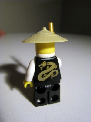 Ninjago Sensei Wu Costume