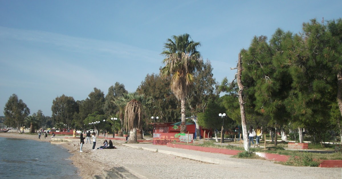 ΜΕΓΑΛΟ ΠΕΥΚΟ (ΝΕΑ ΠΕΡΑΜΟΣ) | Ιστορία των Μεγάρων