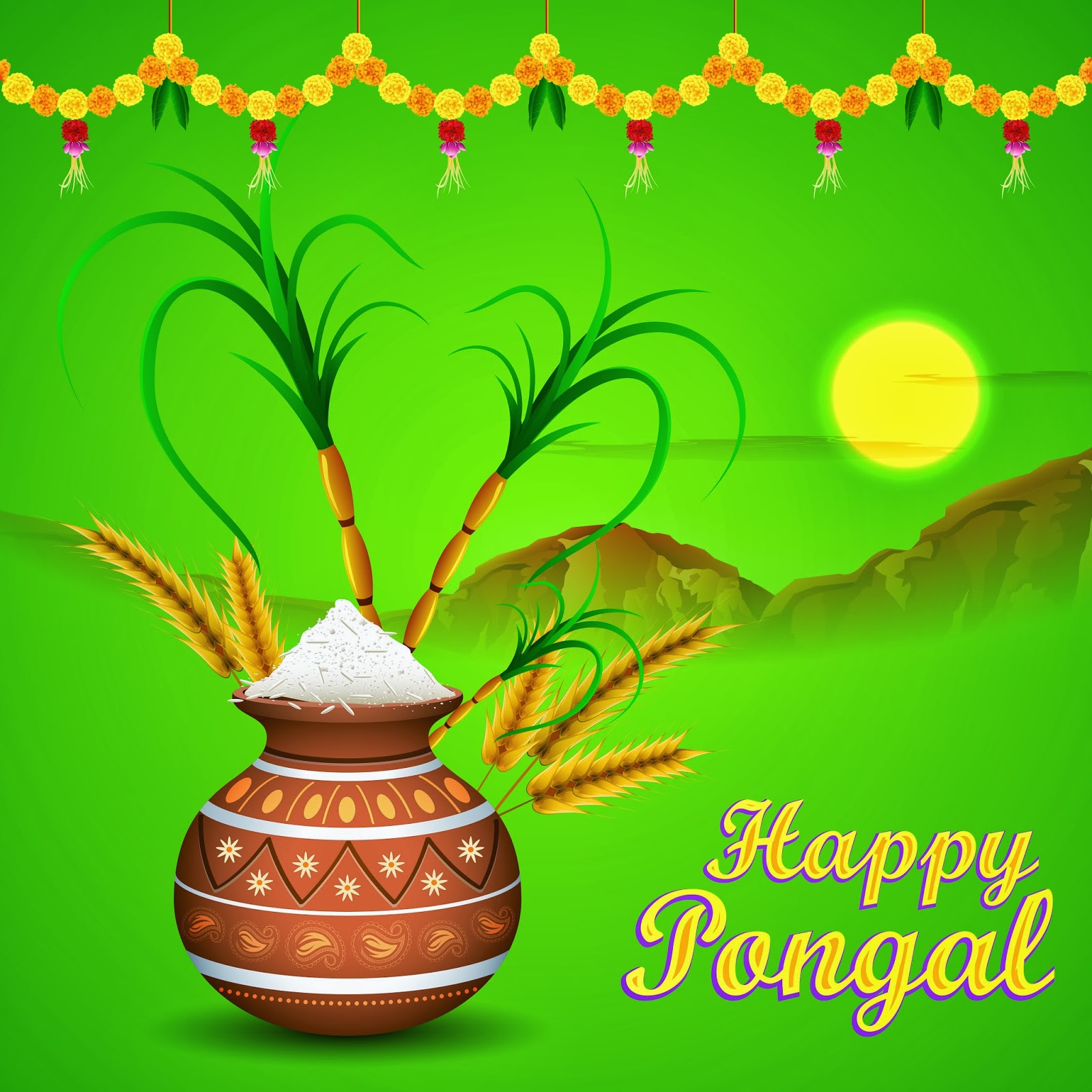 sankranthi (pongal) image collections for free | naveengfx