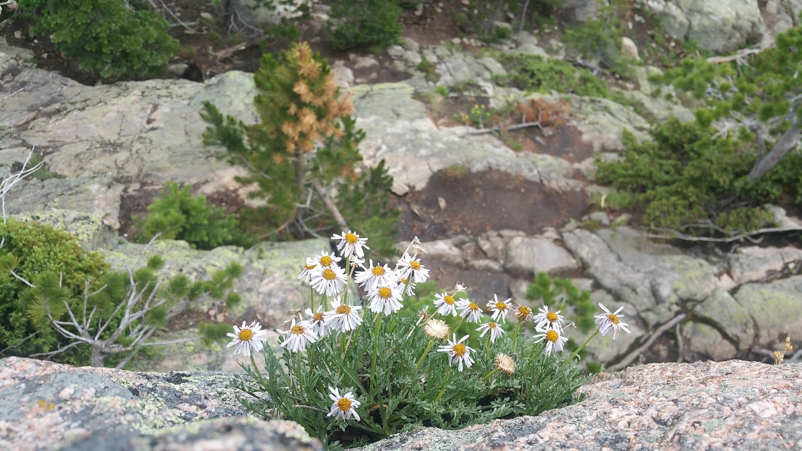 Unfolding: Fourth of July Weekend: Red Rocks Amphitheatre, Estes Park ...