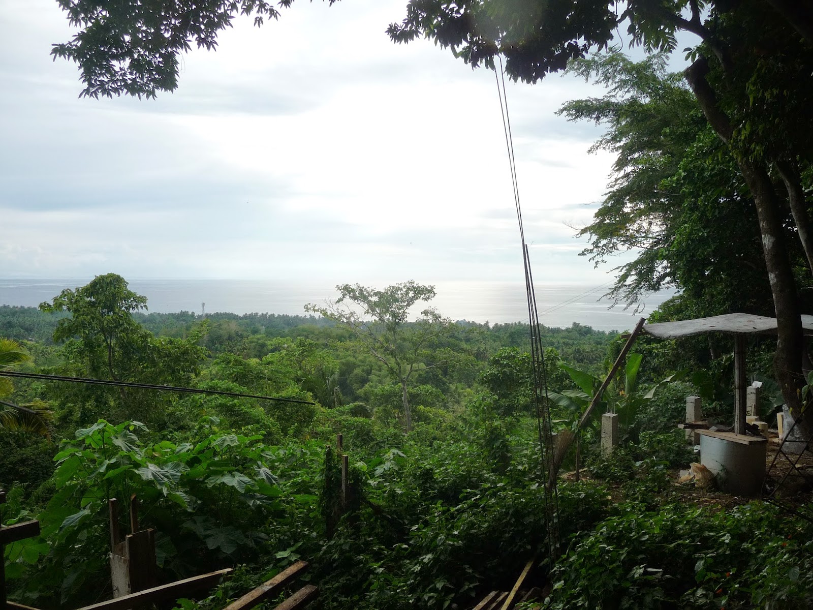 Leyte Places: Hindang Caves and Wild Monkeys