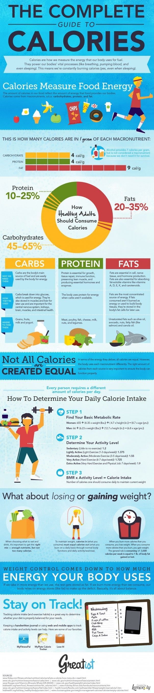 The Complete Guide To Calories #ingraphic - Visualistan