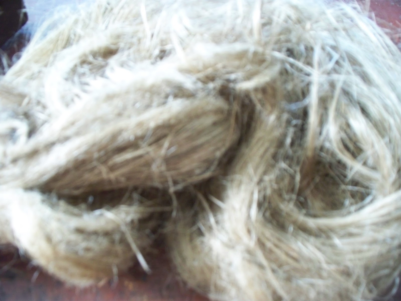 Prims By The Water: Flax And Linen