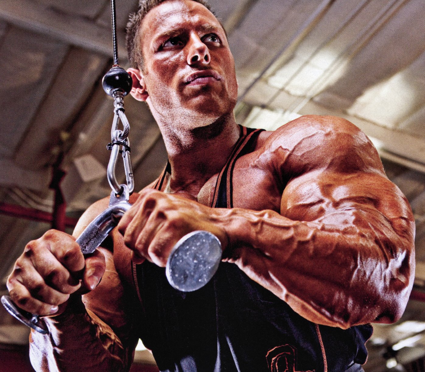 Knights of Bodybuilding: MICHAEL LIBERATORE