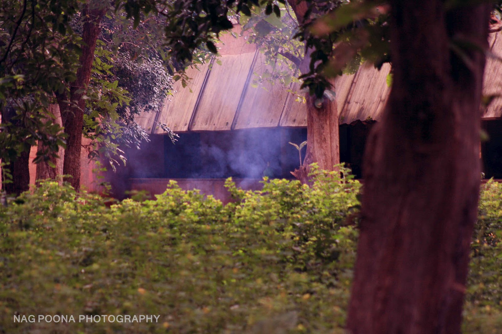 Ananthagiri hills Vikarabad forest trek-trip in hyderabad: A day trip ...