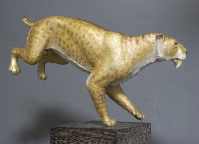 Hirokazu Tokugawa's Paleo Sculpture: Smilodon (2012）