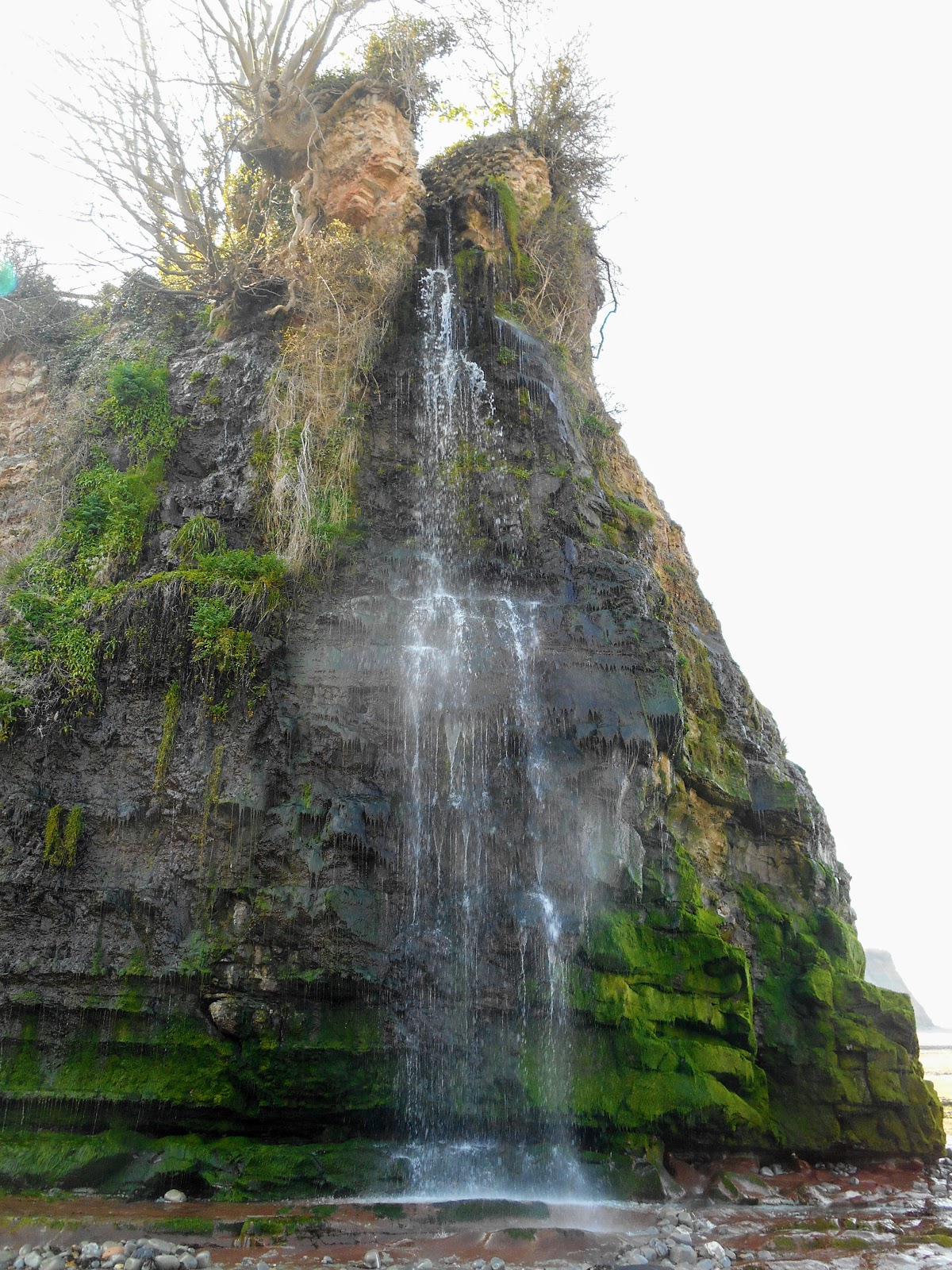 Off the Beaten Track in Somerset: Waterfalls