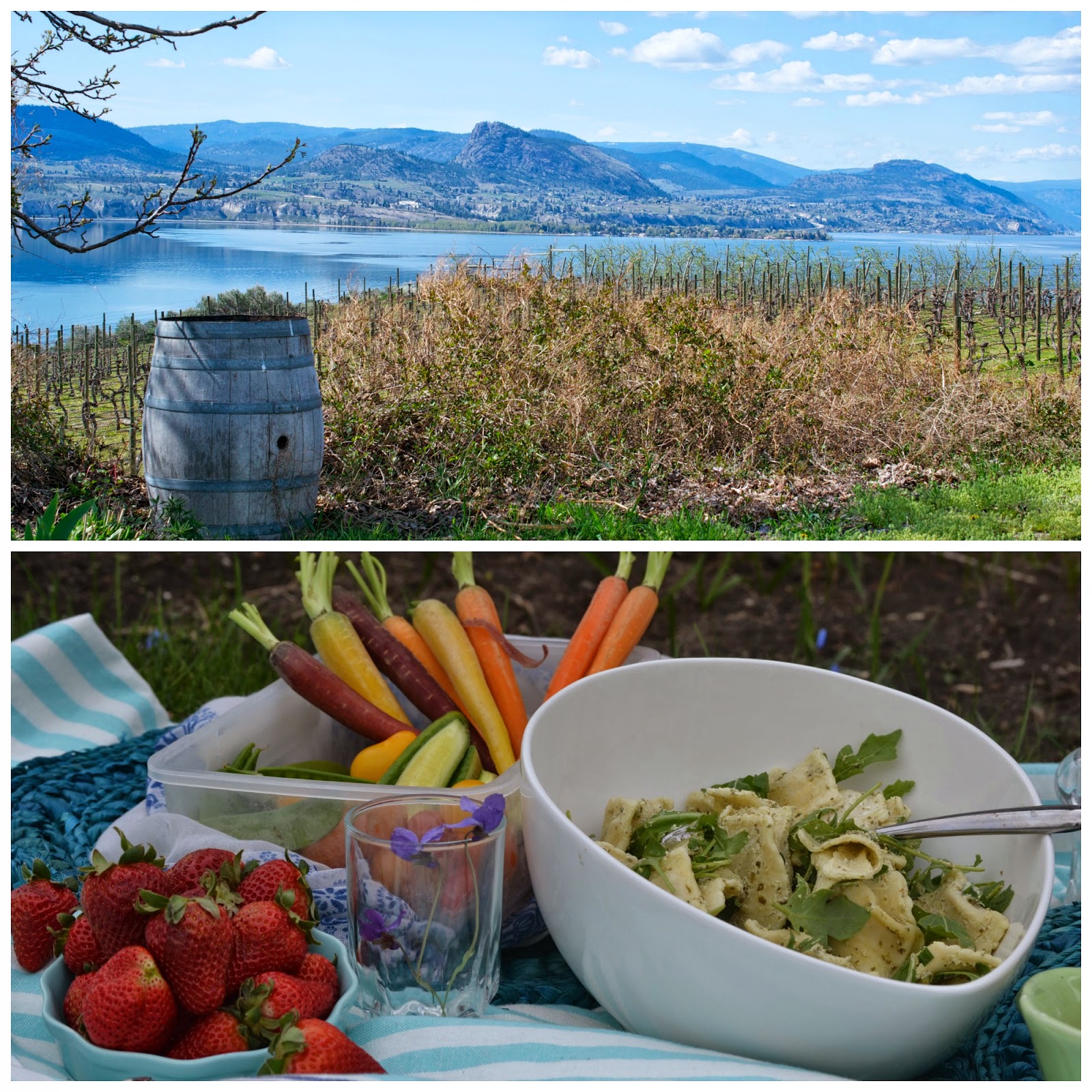 more than burnt toast: An Impromptu Spring Picnic on a Wanderlust Day