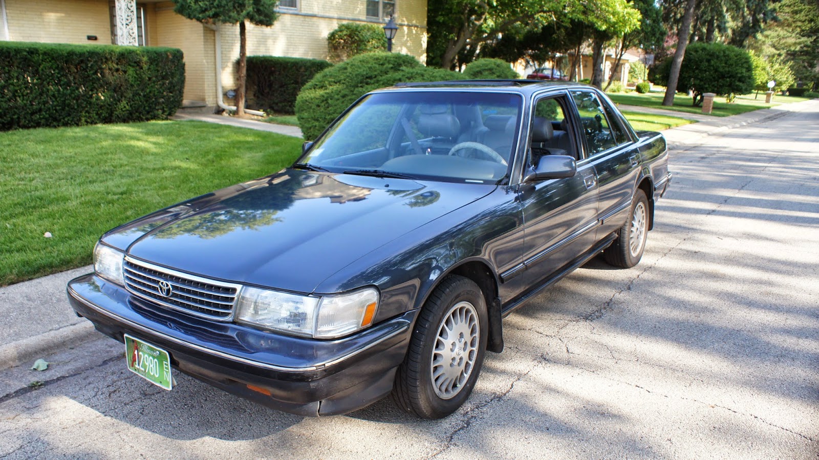 PhotographyPlus by mcl....