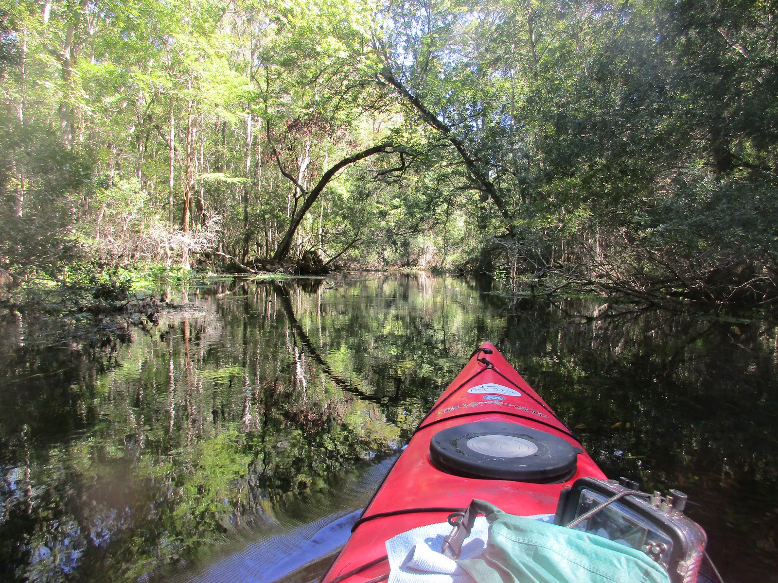 Dave's Yak Tales: Wacissa River