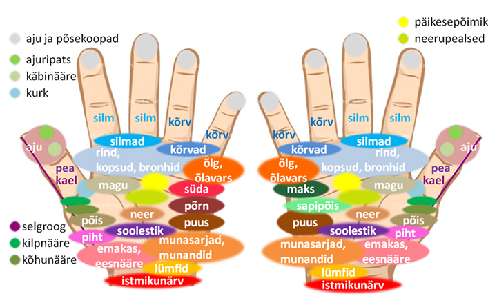 refleksoloogia on iidne alternatiivmeditsiini haru mis põhineb inimese ...