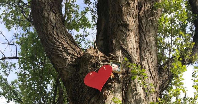 Slobodan Vasković - Sa druge strane...: Davidovo Srce na ušću Crkvene u ...