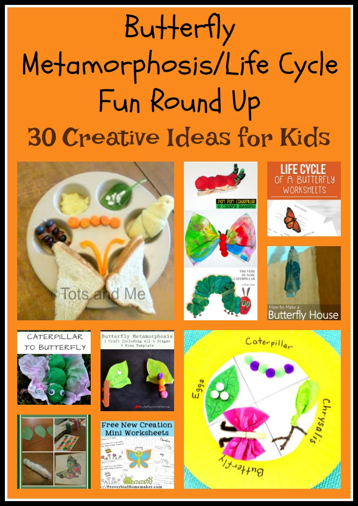 Tots and Me... Growing Up Together: Littles Learning Link Up: Butterfly ...