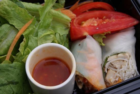 Not Enough Words - My Vicarious Life