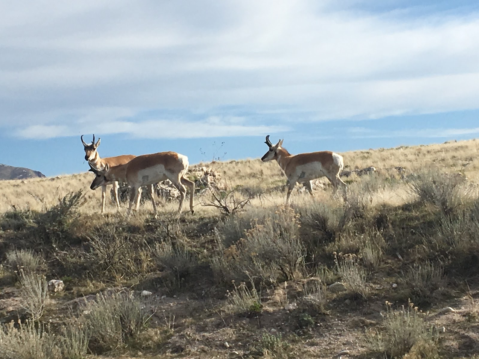 Today in the Adirondack Mountains