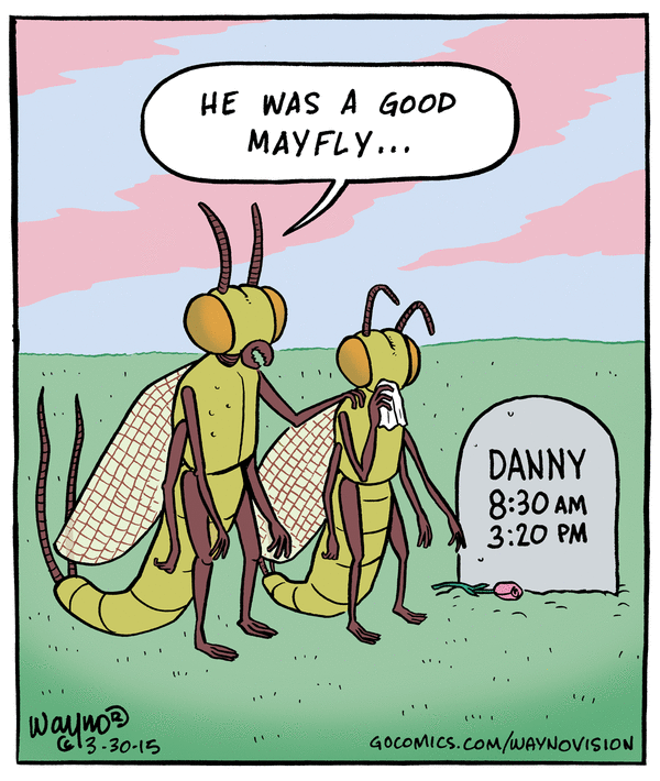 WaynoBlog: Time Flies