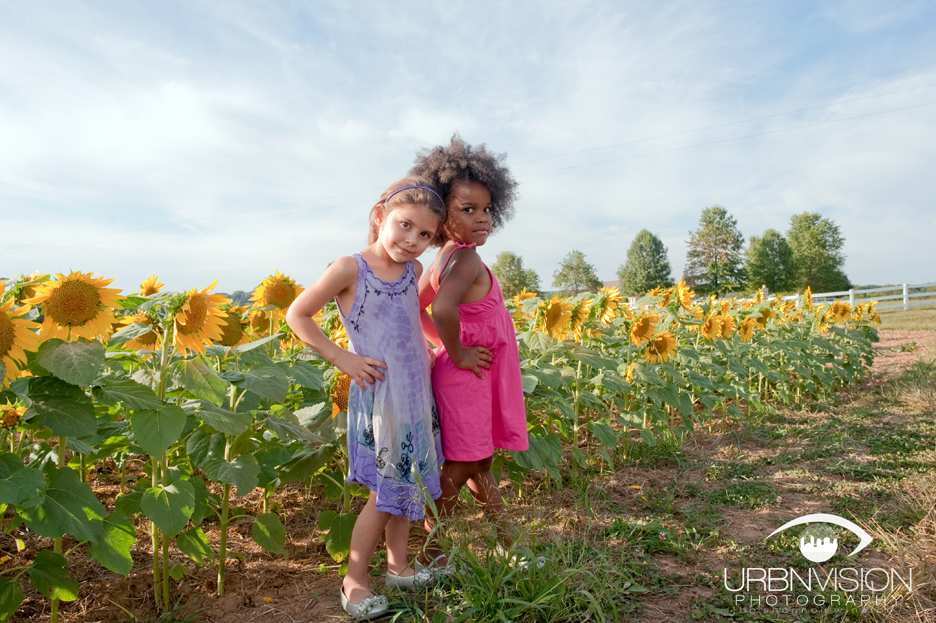 Urbnvision Photography: Sunflower Field: Friends Edition