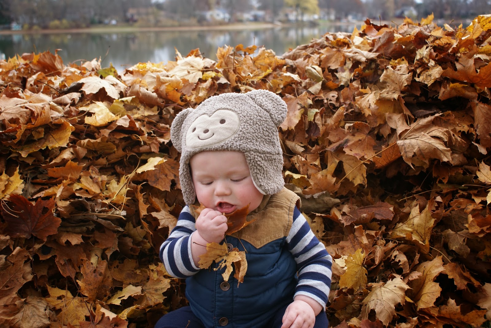 Project Make a Baby: The One Where I Let My Kid Eat Leaves