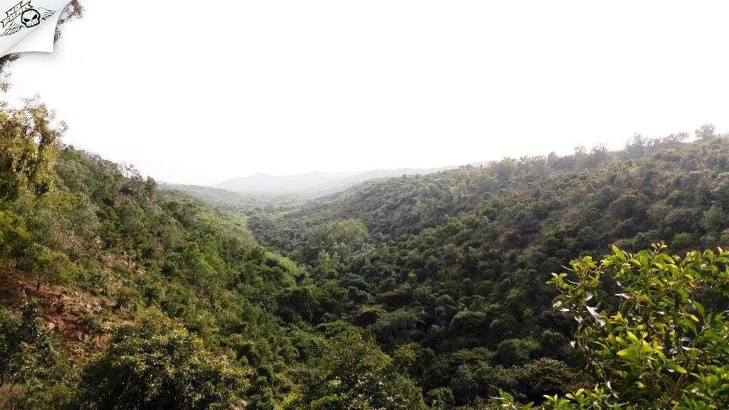 Pearl valley (Muthayala maduvu) and Thattekere - Meet my new beast 02 ...