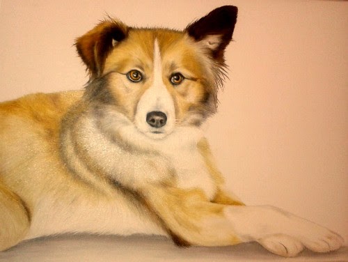 Mallie the Doolally Welsh Collie Pet Portraits Dorset UK artist paints ...