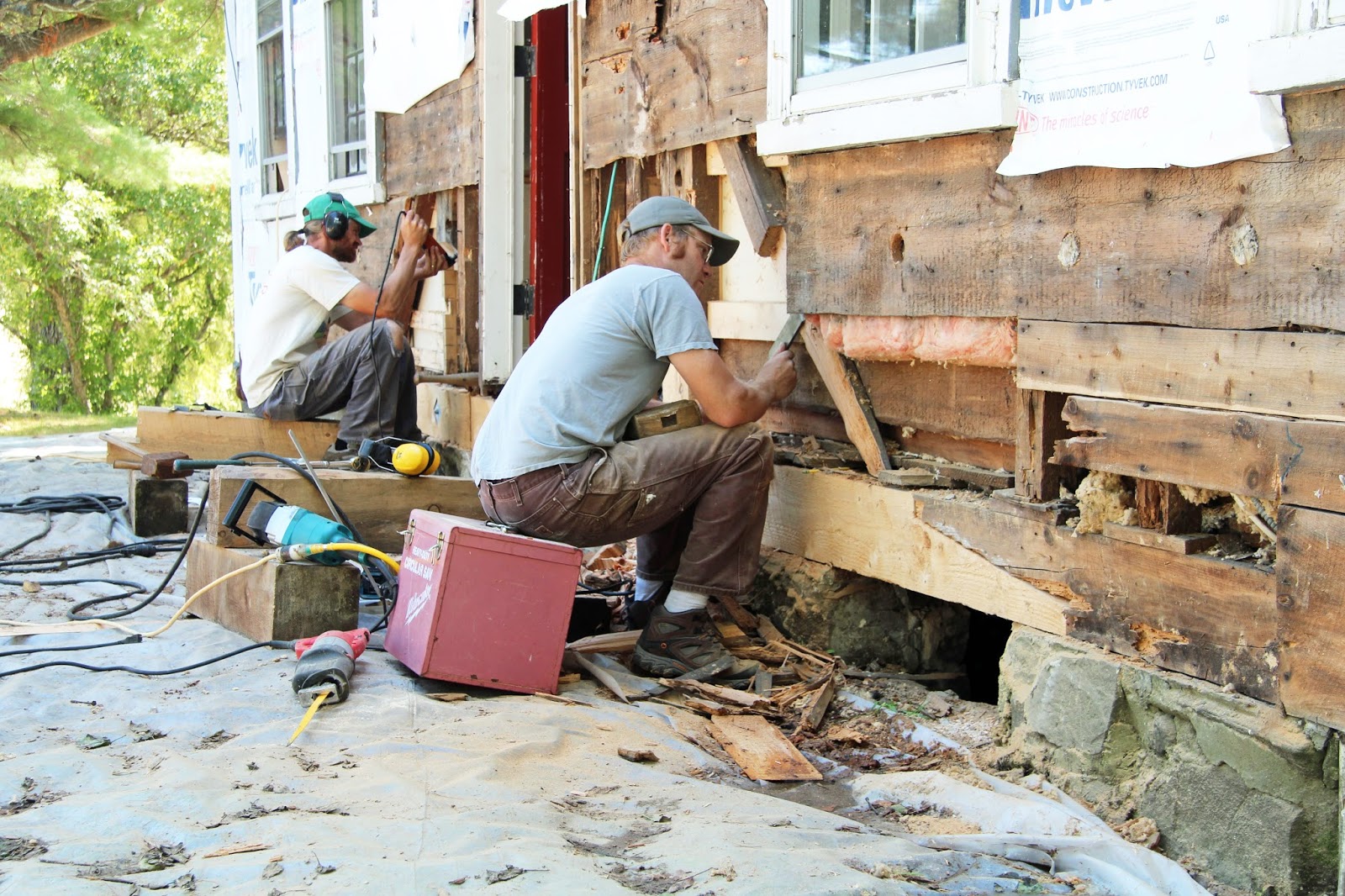 In the Fields : Sills