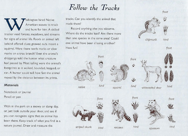 HANDS-ON-BOOKS: Info & Activities for Curious Kids: FOLLOW THE TRACKS