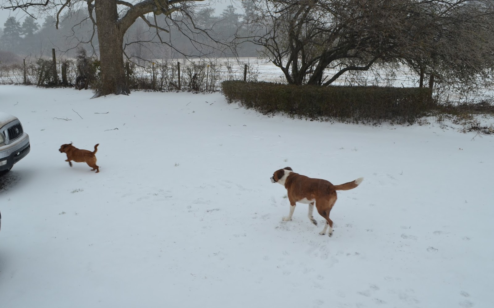 Baseball-Diamonds & Hairspray: Snowpocalypse Feb 2014