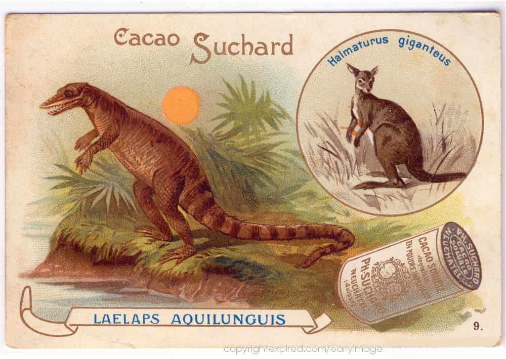 GLOSSOPETRAE: julio 2016