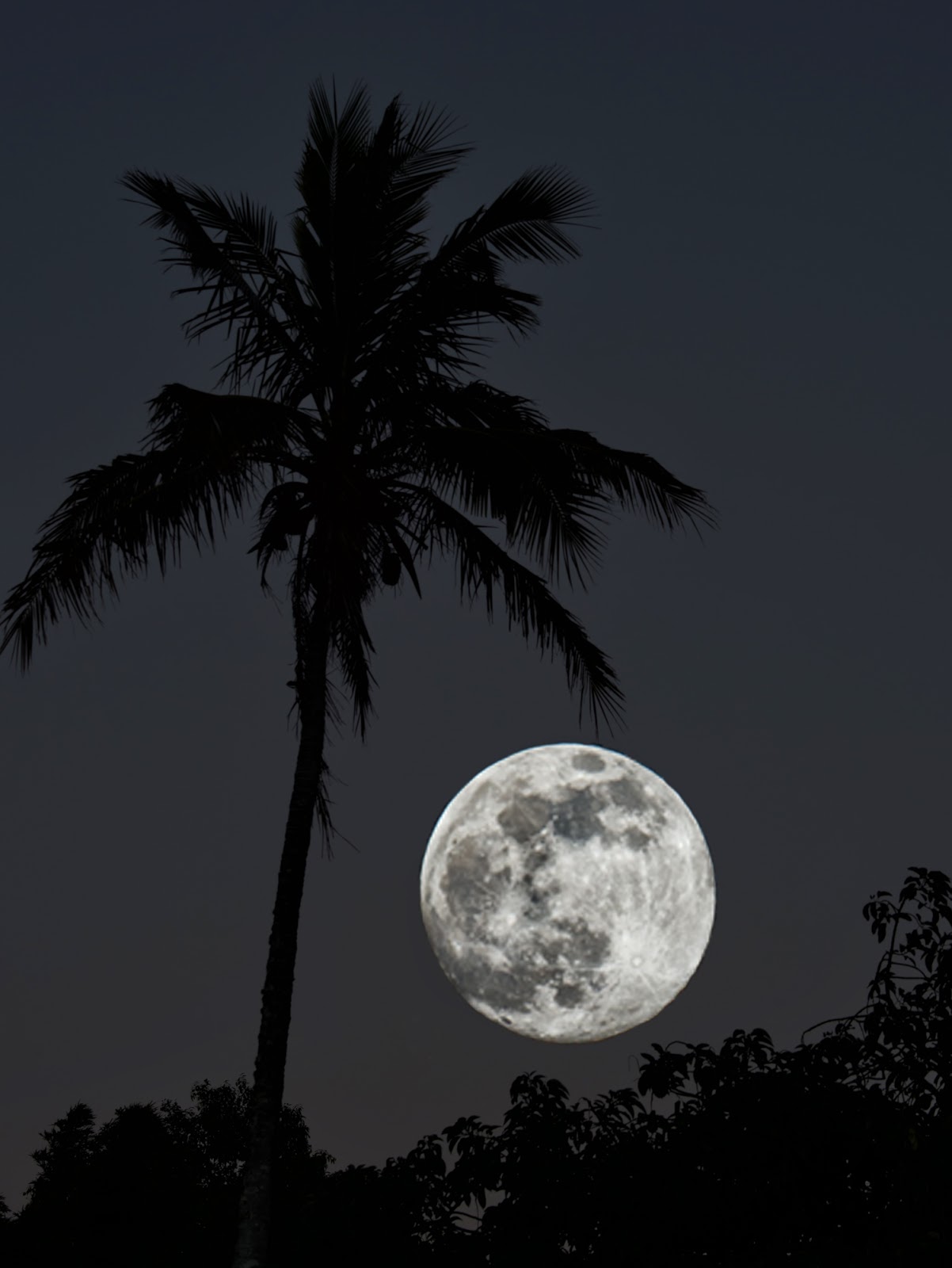 Shutterbugs Capturing the World Around Us: The Hoku Moon