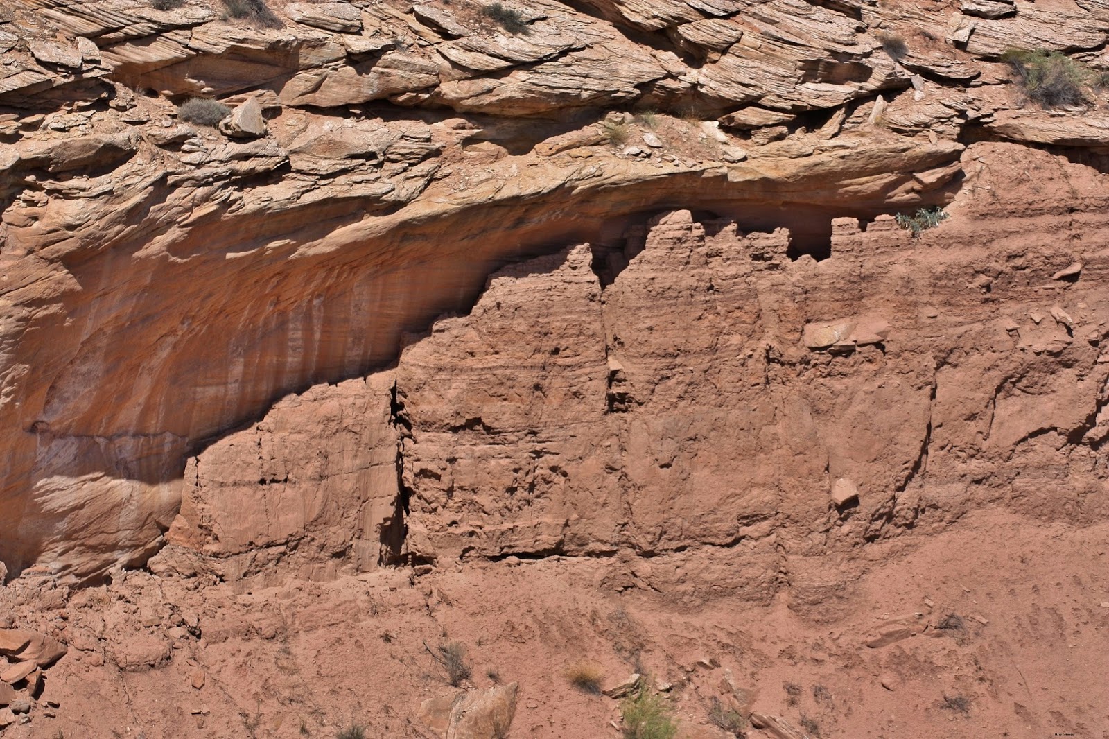 The Southwest Through Wide Brown Eyes: Double Stack to Fishmouth - Comb ...