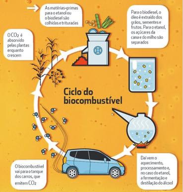 TenanBio: BIOCOMBUSTÍVEIS: VANTAGENS E DESVANTAGENS
